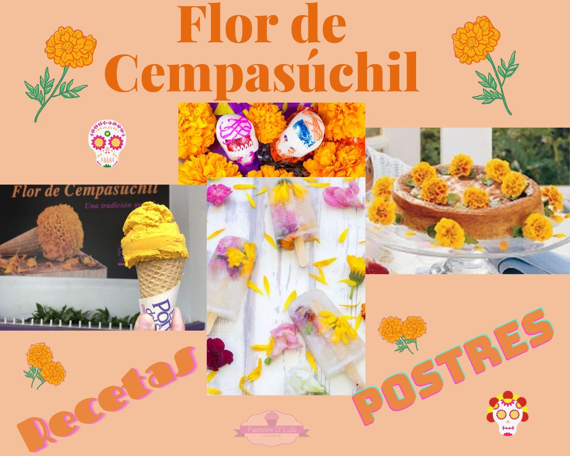 Innovando con Cempasúchil